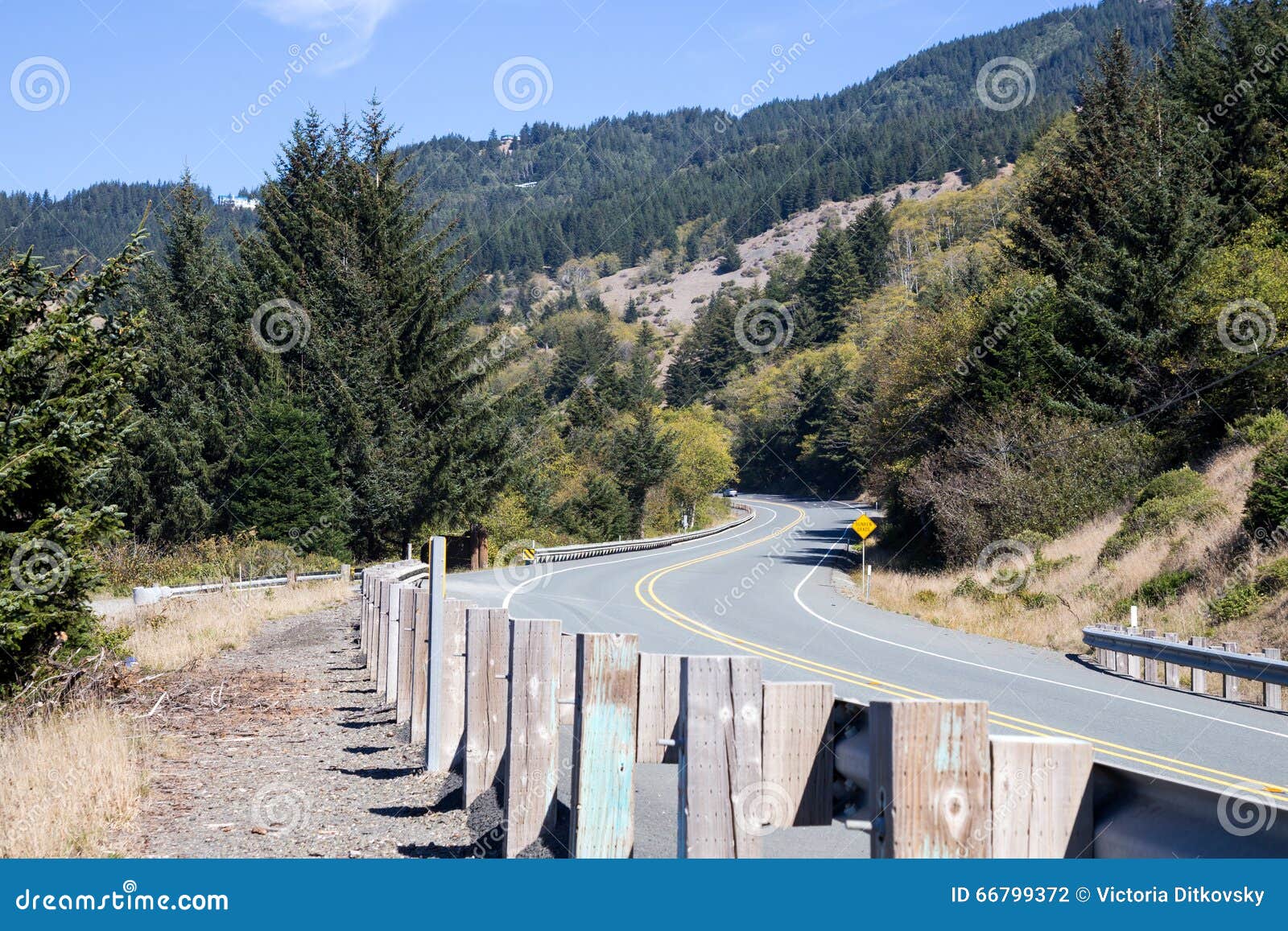 Highway 101 in South Oregon Stock Photo - Image of road, transportation ...