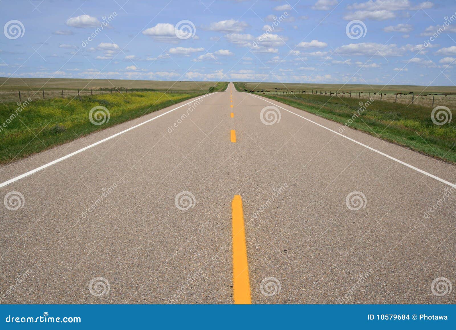 Highway in Southern Alberta Stock Photo - Image of green, wide: 10579684