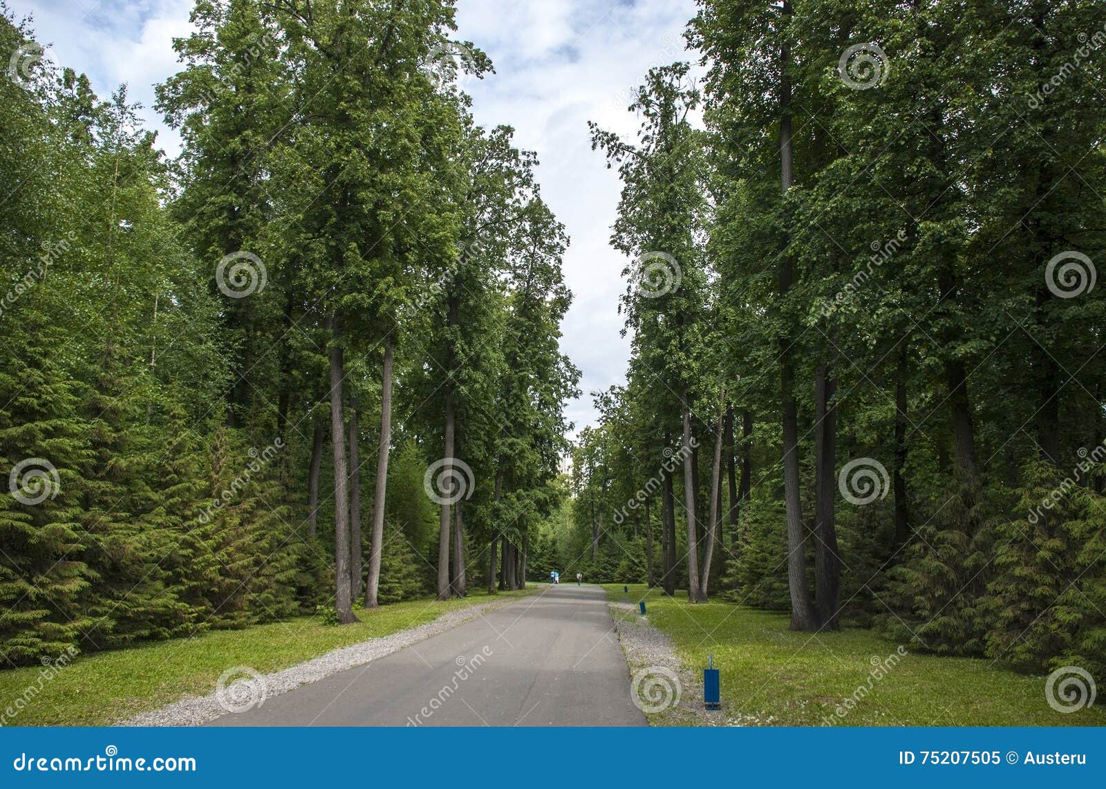 The highway in the wood stock image. Image of landscape - 75207505