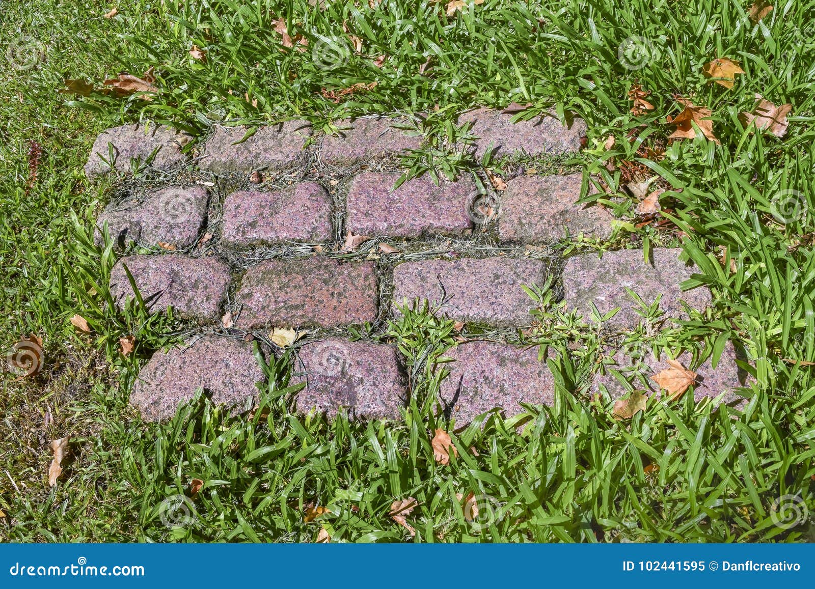 Cobblestone With Grass Texture Stone Path Road Pathway Background Of ...
