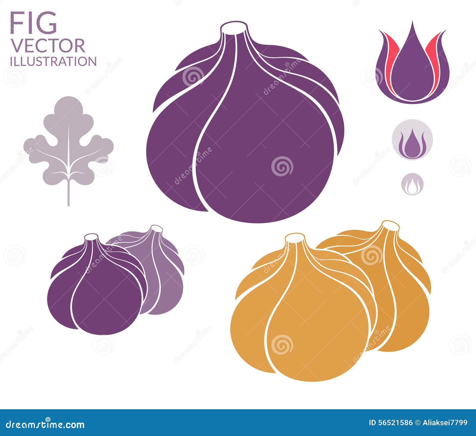 Higo conjunto ilustración del vector. Ilustración de tropical - 56521586