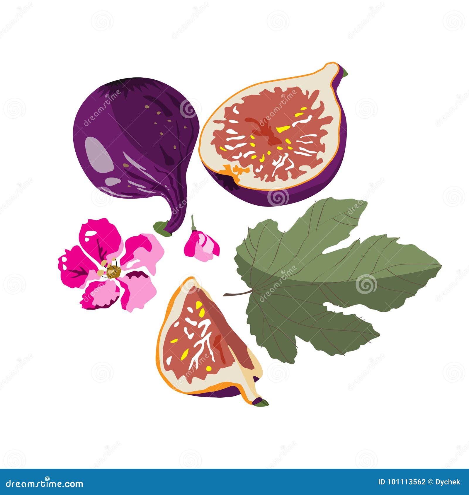 Higos En Un Fondo Blanco Vector Ilustración del Vector - Ilustración de ...