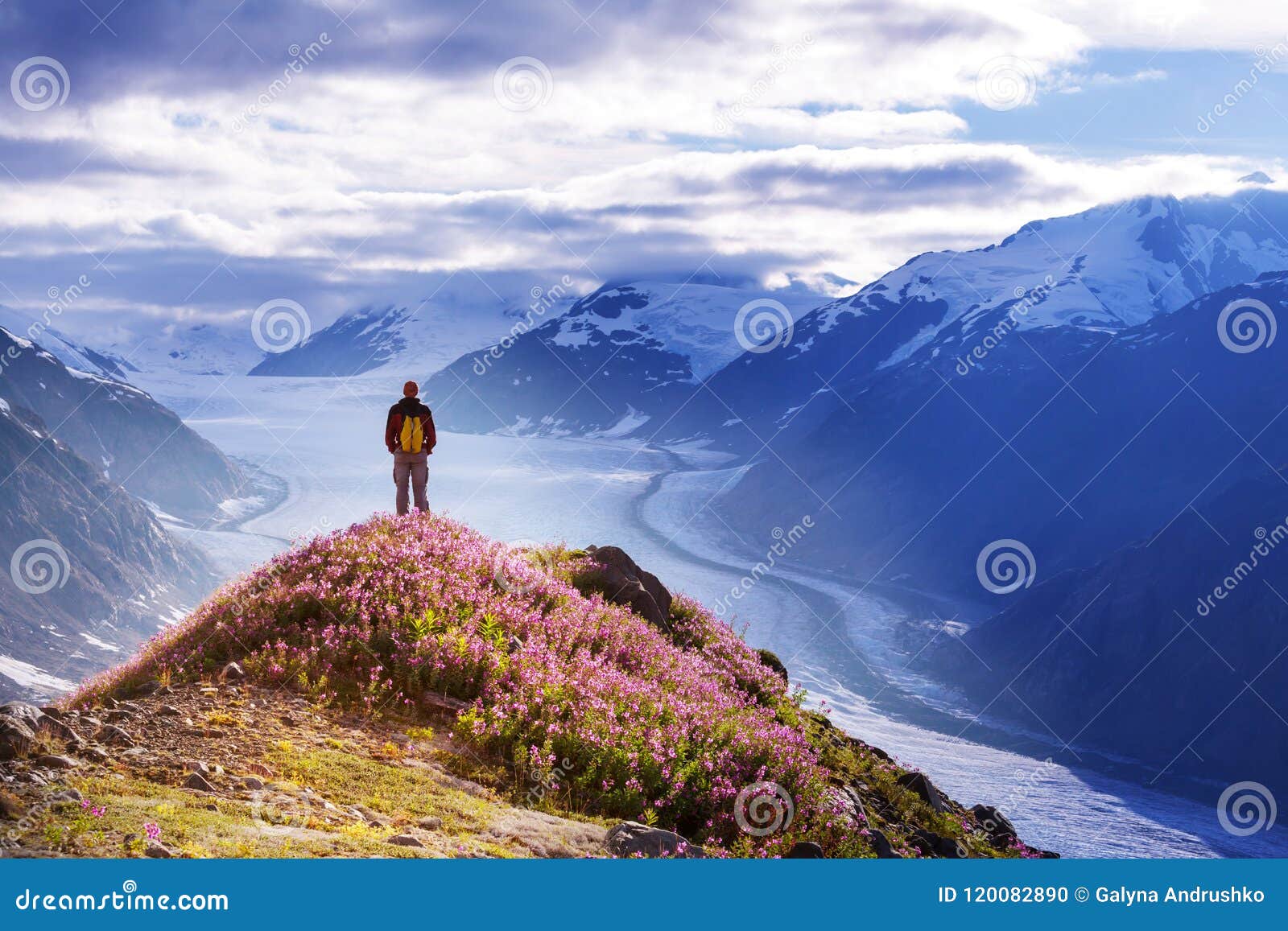 Hike in Alaska stock photo. Image of national, backpacking - 120082890