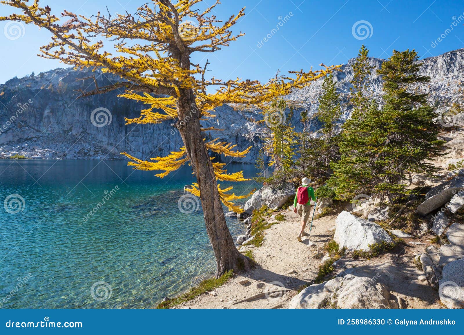 Hike in autumn season stock photo. Image of backpack - 258986330