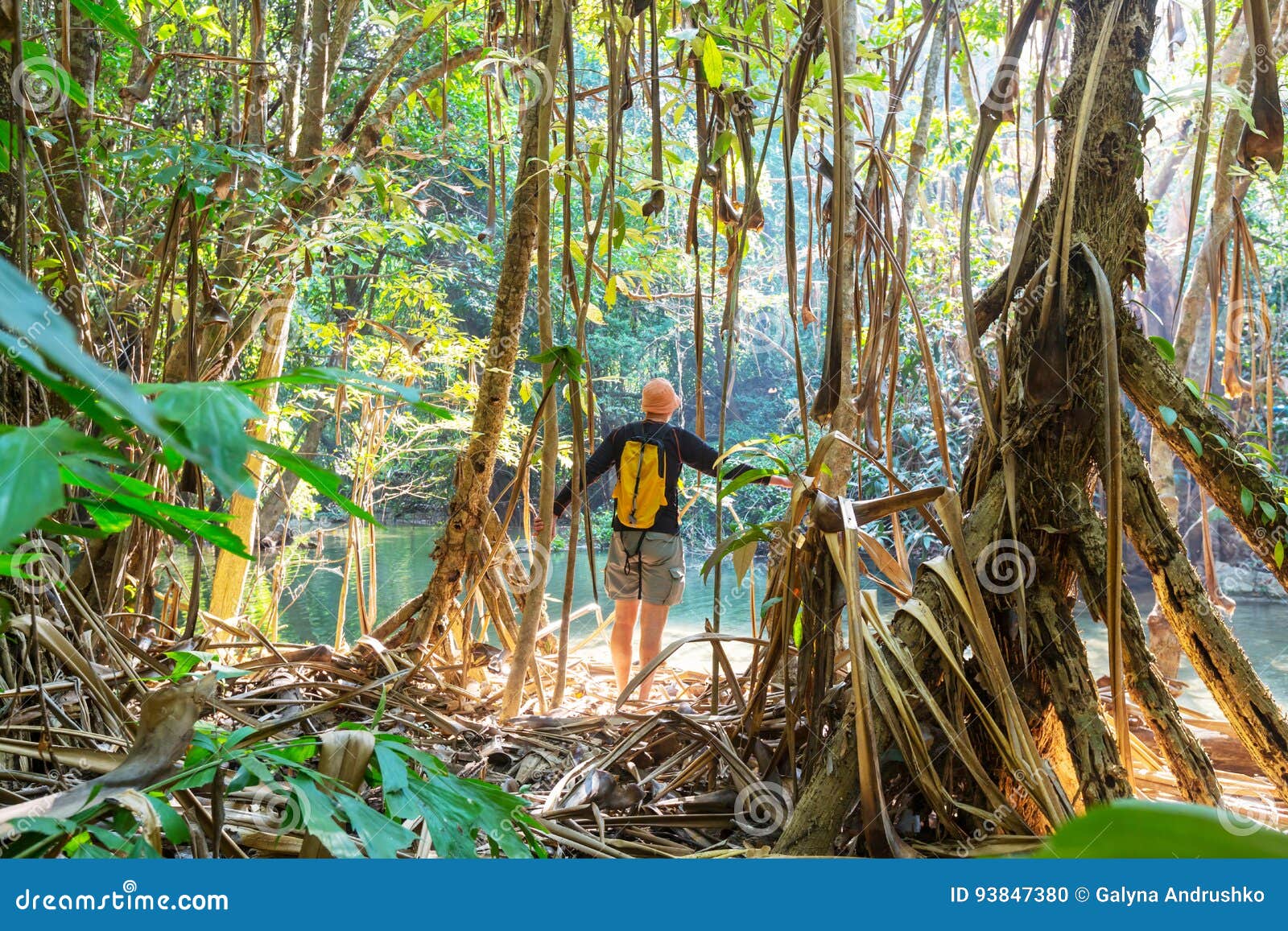 Hike in jungle stock photo. Image of nature, footpath - 93847380
