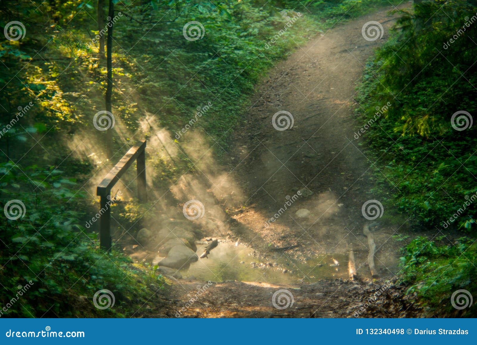 Hike Path with Mist at Dawn Stock Photo - Image of stream, hike: 132340498