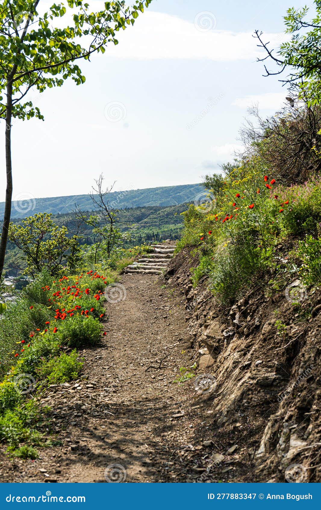 Hike Path on the Slope of Mtatsminda Mount Stock Image - Image of walk ...