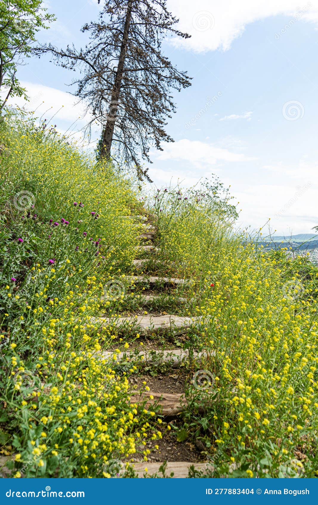 Hike Path on the Slope of Mtatsminda Mount Stock Photo - Image of slope ...
