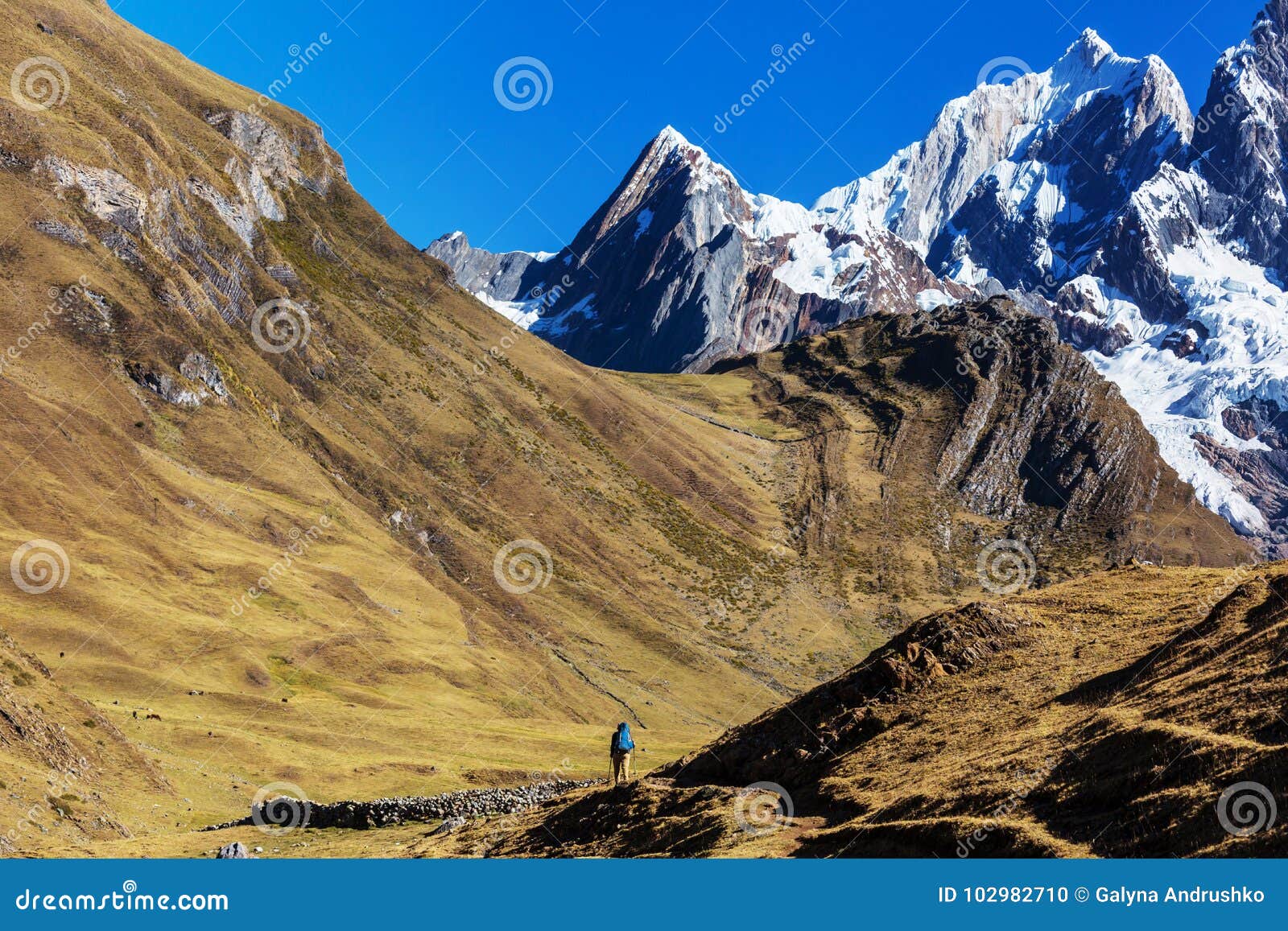 Hike in Peru stock photo. Image of happiness, hiking - 102982710