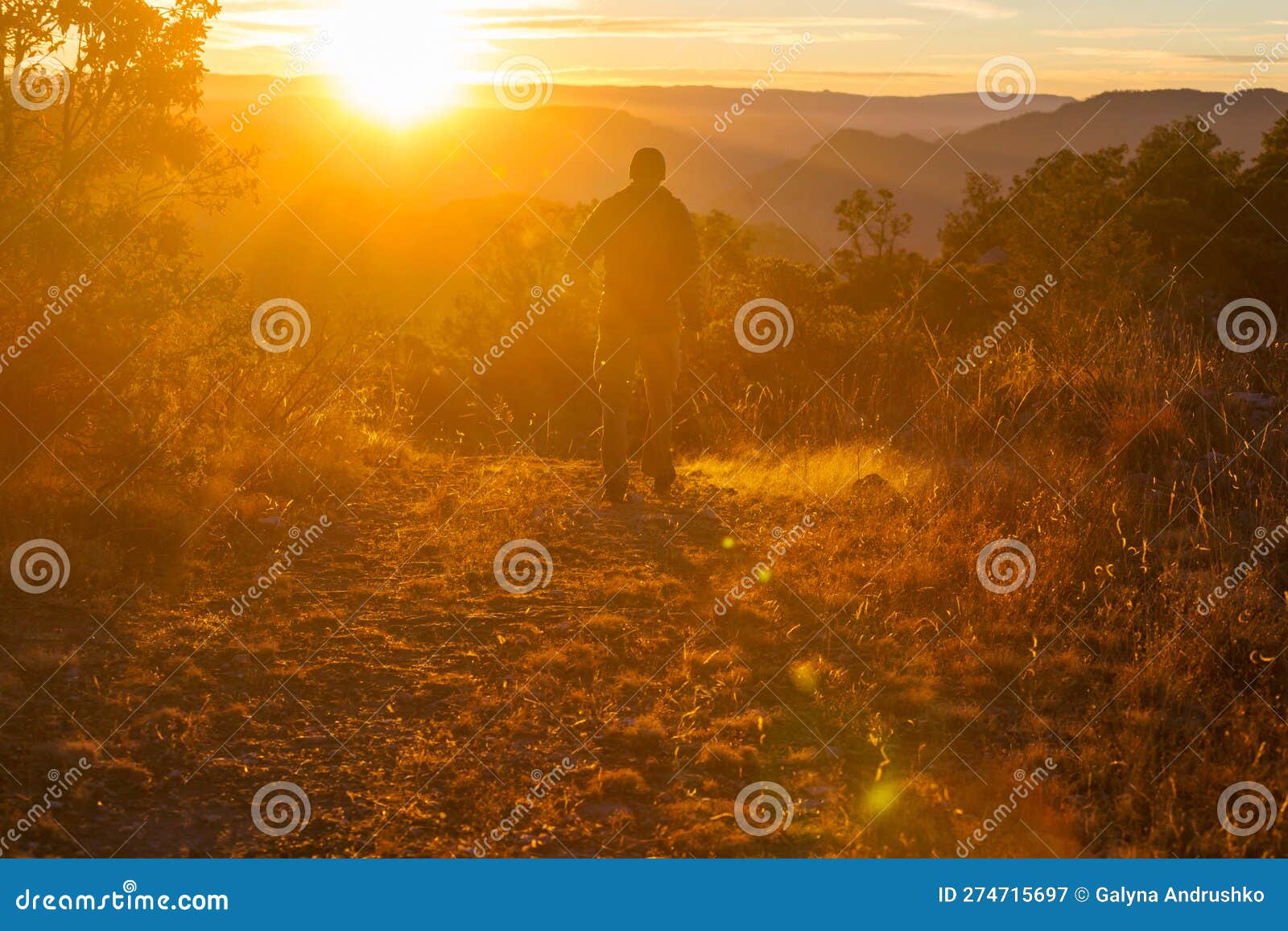 Hike in sunset stock image. Image of summer, hiking - 274715697