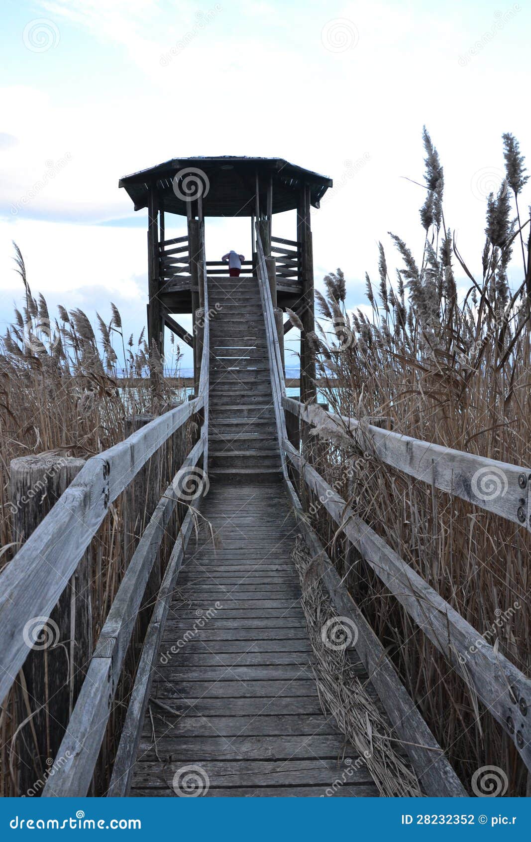 Hike to the viewpoint stock photo. Image of clouds, child - 28232352