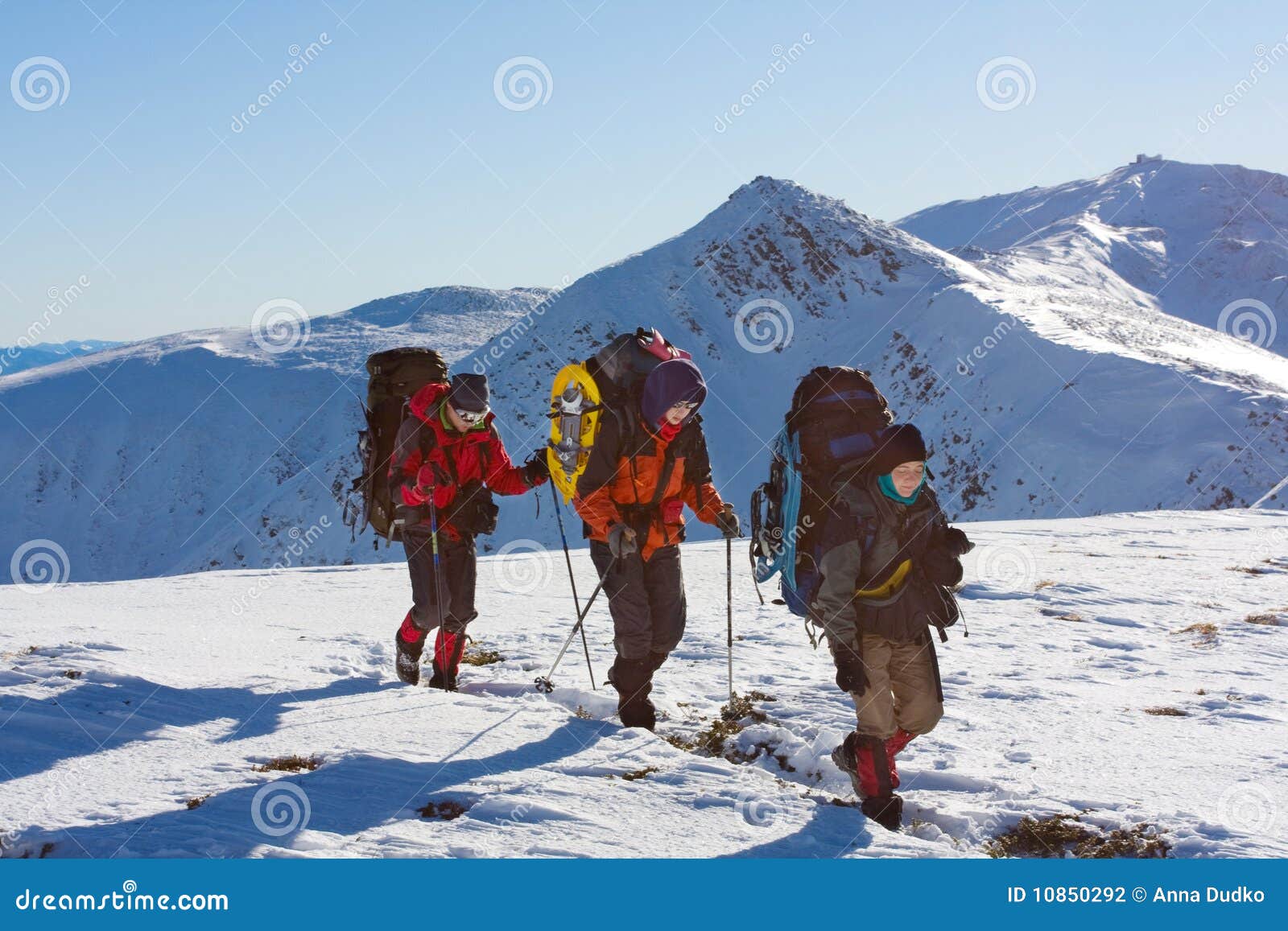 Hiker stock photo. Image of mountaineering, hiker, equipment - 10850292