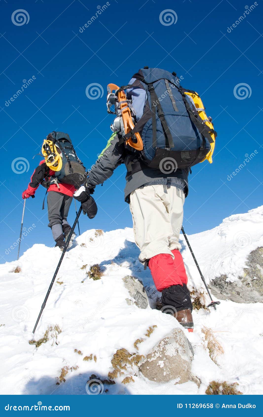 Hiker stock photo. Image of trekking, winter, group, equipment - 11269658