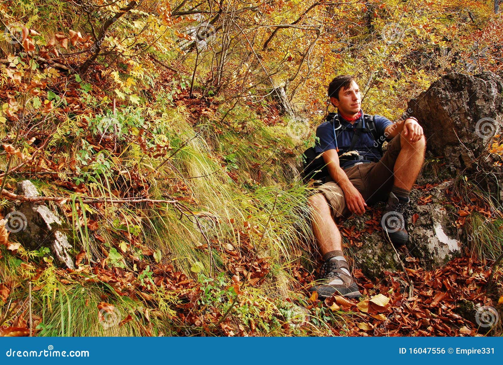 Hiker stock photo. Image of forest, nature, portrait - 16047556