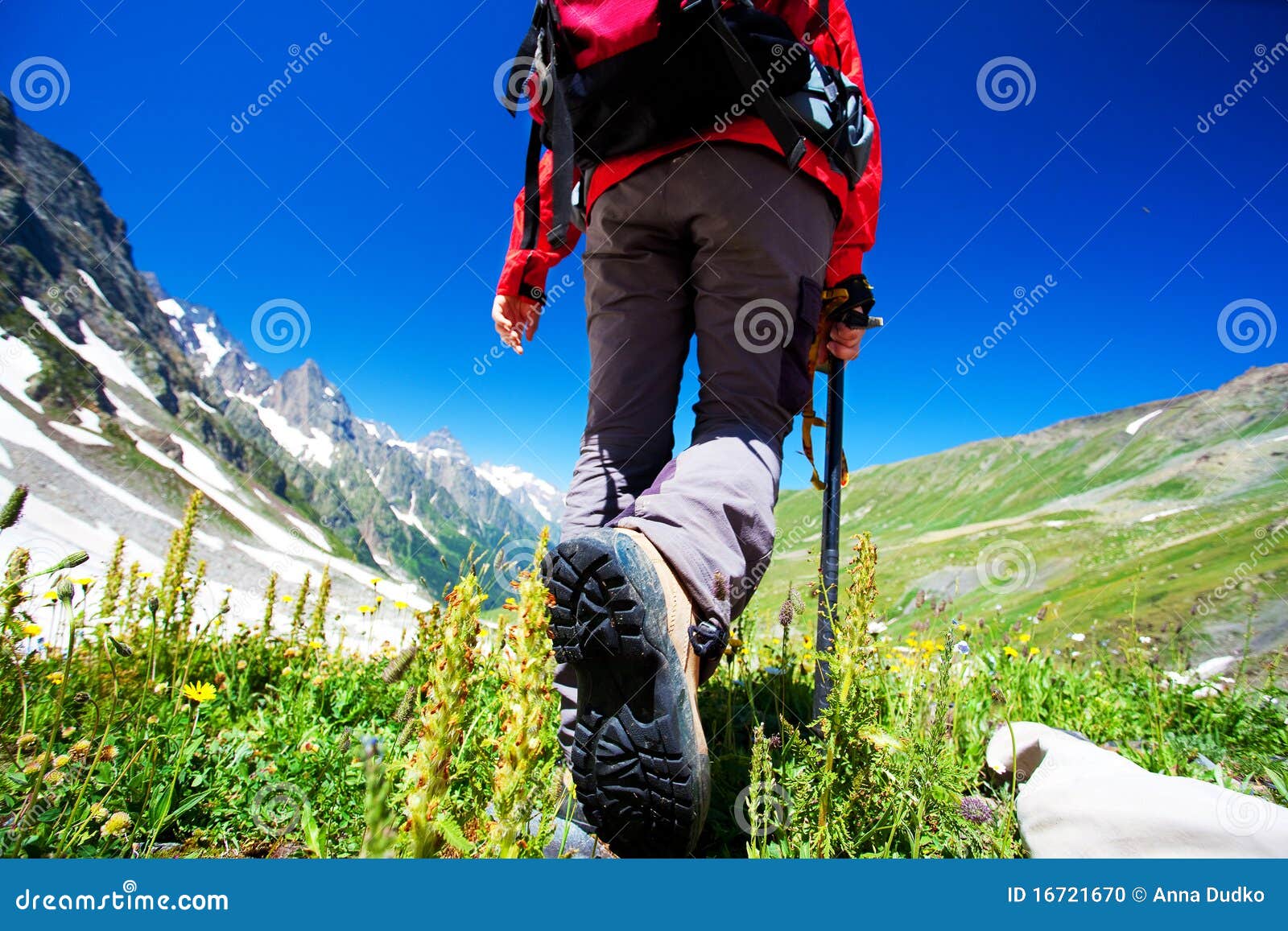 Hiker stock photo. Image of backpacker, hike, group, hiker - 16721670