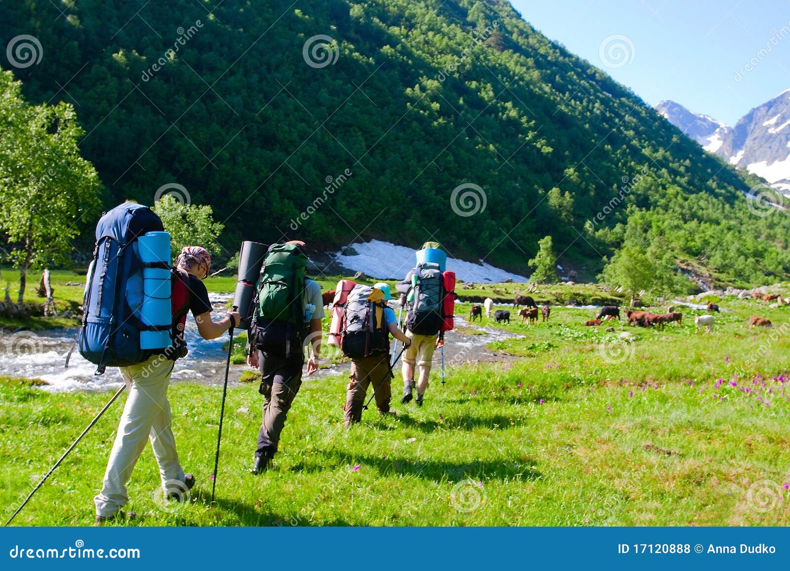 Hiker stock photo. Image of mountaineering, landscapes - 17120888