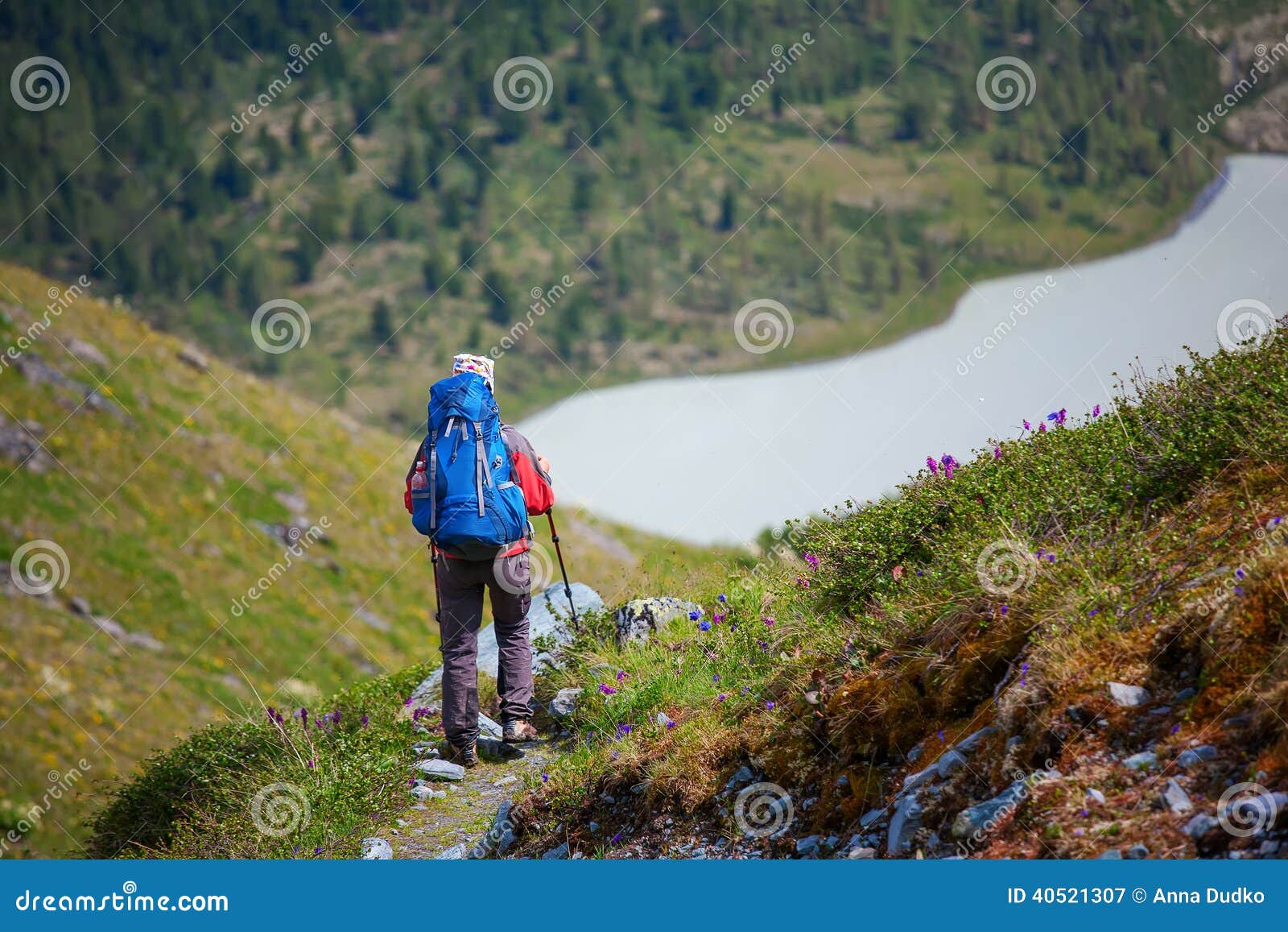 Hiker in Altai mountains stock image. Image of russia - 40521307