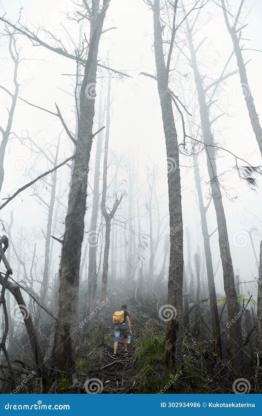 Hiker with Backpack Climbs through the Destroyed Forest on Volcano ...