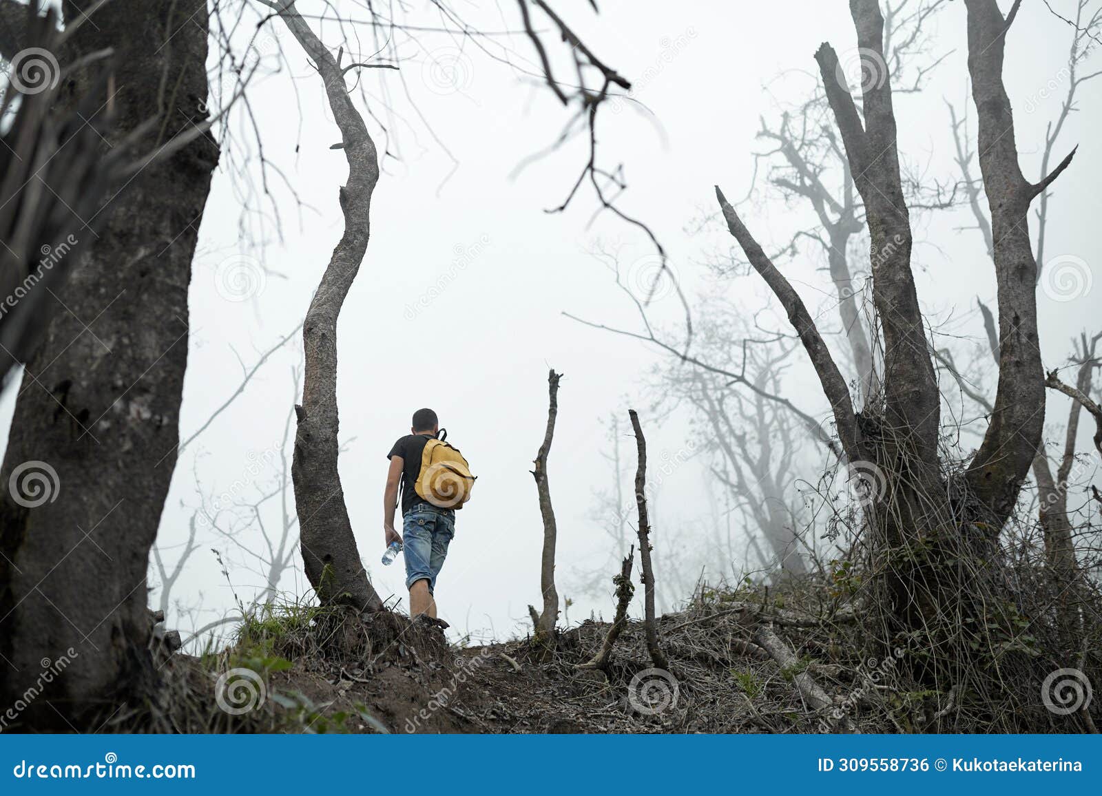 Hiker with Backpack Climbs through the Destroyed Forest on Volcano ...