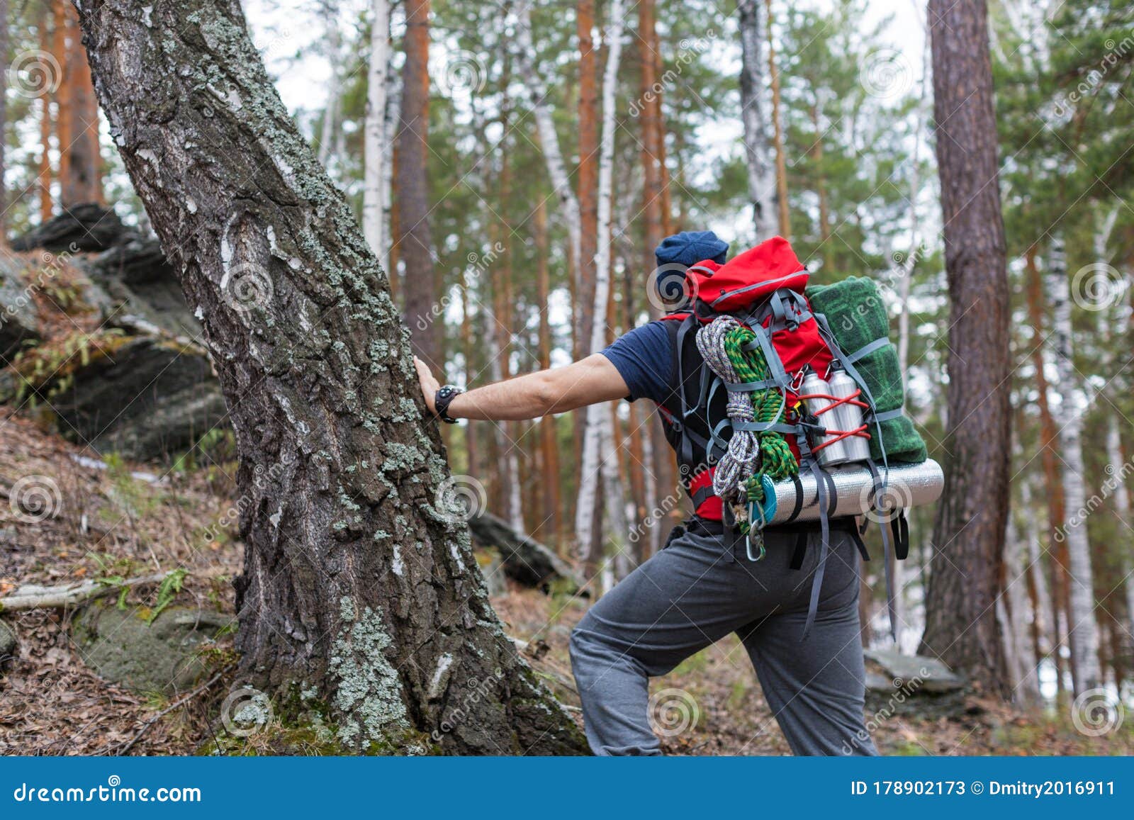 Hiker with a Backpack in the Forest. Back View Stock Image - Image of ...