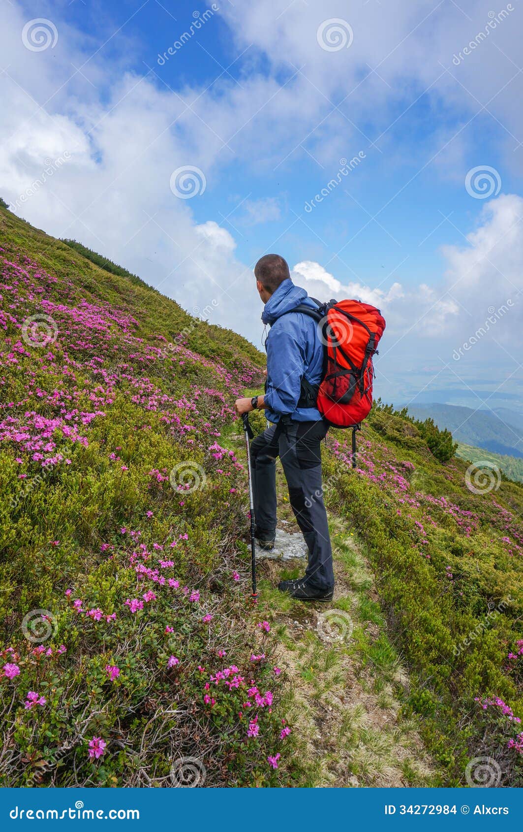 Hiker with backpack stock photo. Image of extreme, travel - 34272984