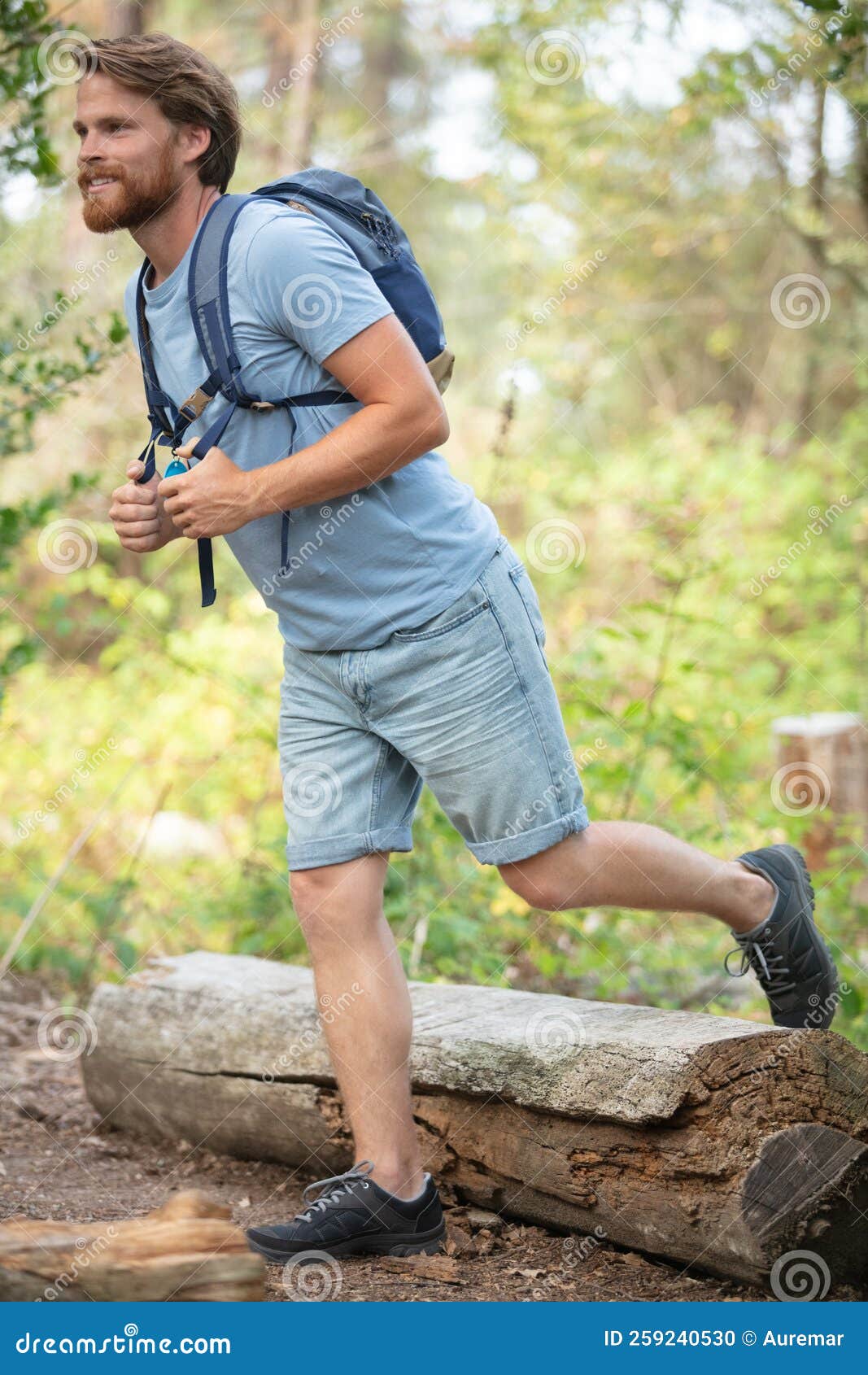 Hiker with Backpack Walks Over Fallen Tree Stock Photo - Image of ...