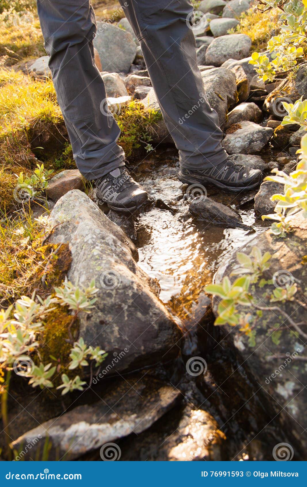 Hiker Crossing a River. Legs in Boots Stock Image - Image of stream ...