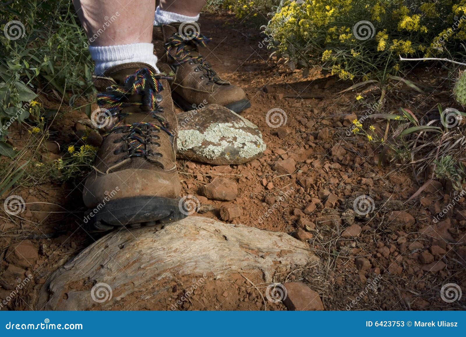 Hiker Feet on a Mountain Trail Stock Image - Image of southwest, hiking ...