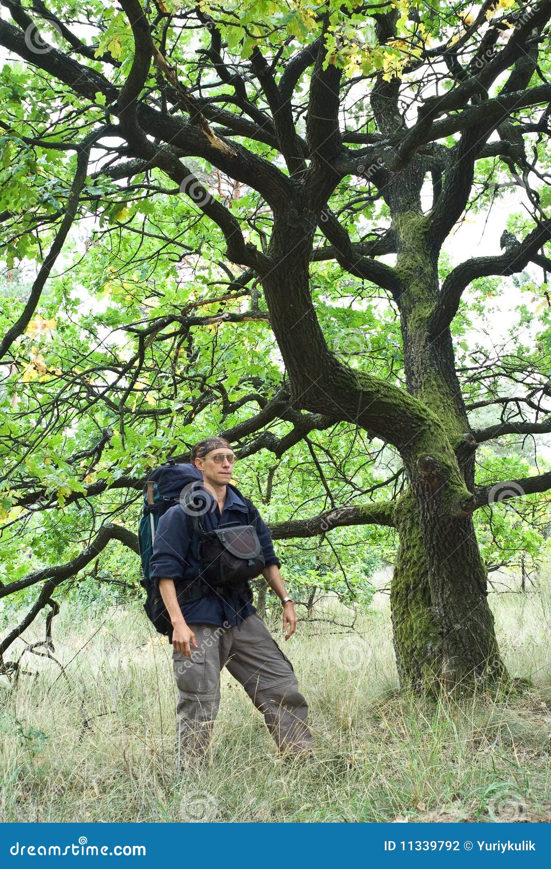 Hiker in a forest stock photo. Image of hiker, backpack - 11339792