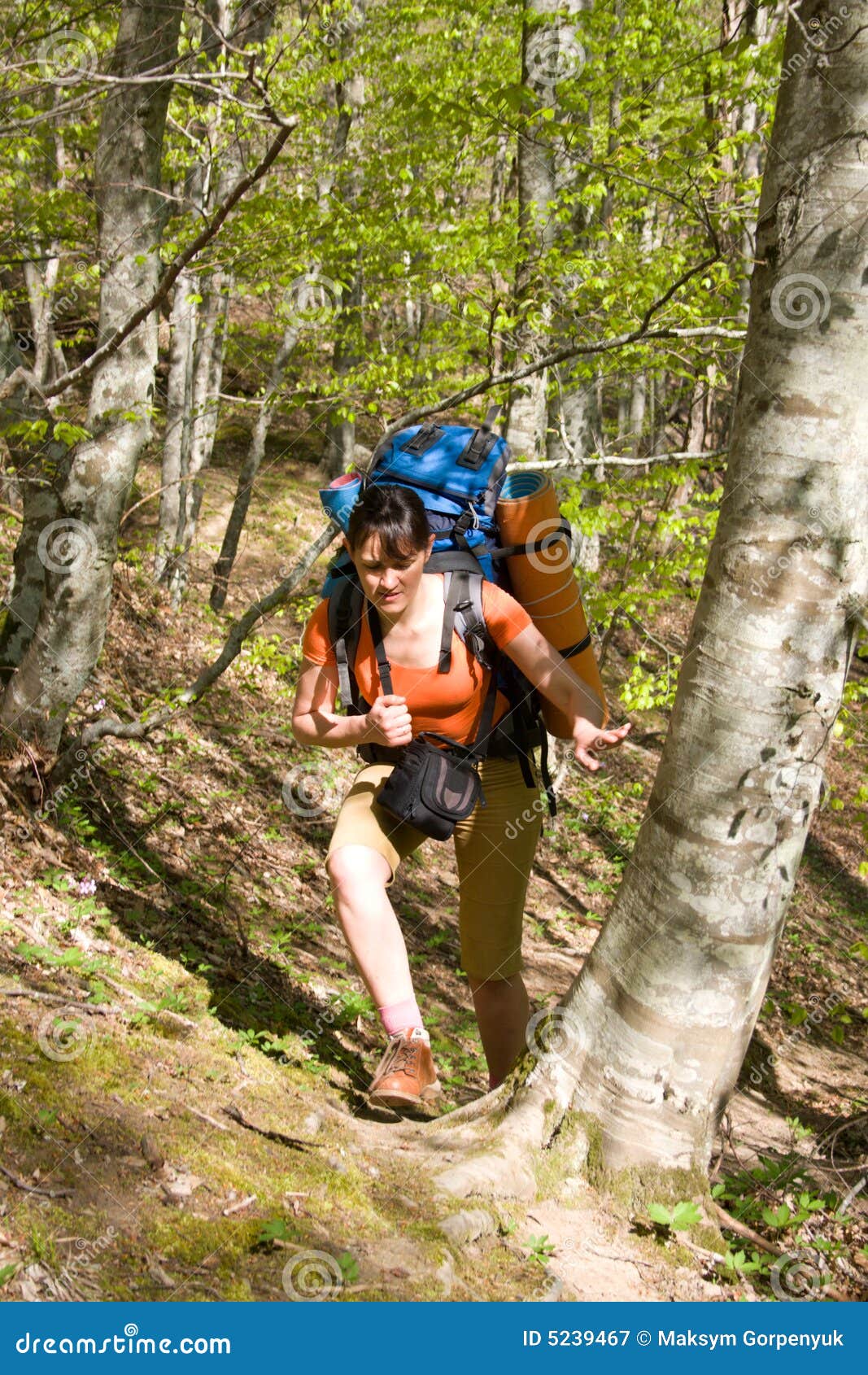 Hiker Girl with Backpack in Spring Forest Stock Image - Image of ...
