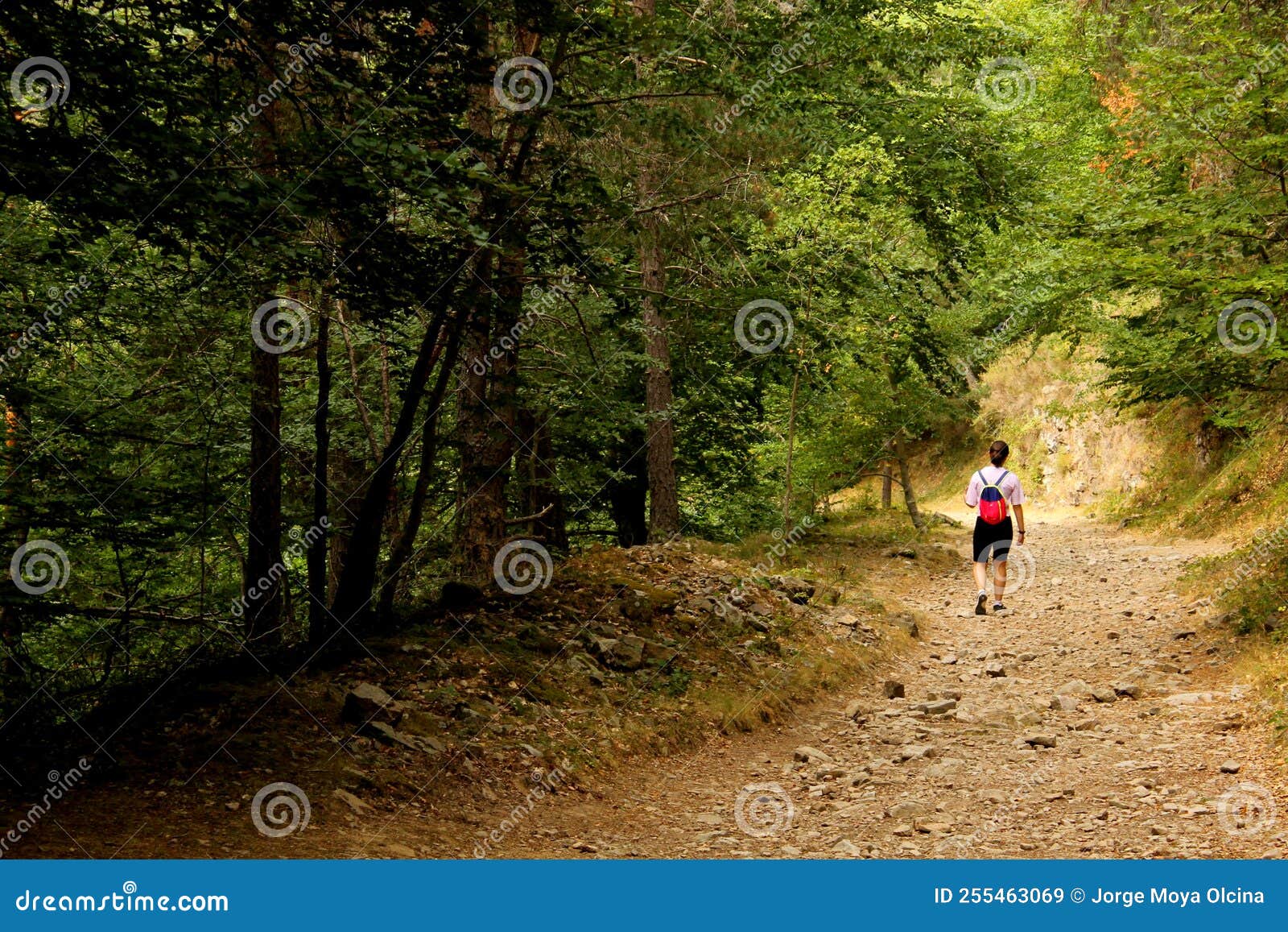 Pathway In The Middle Of Abandoned Jungle Village In China Editorial ...