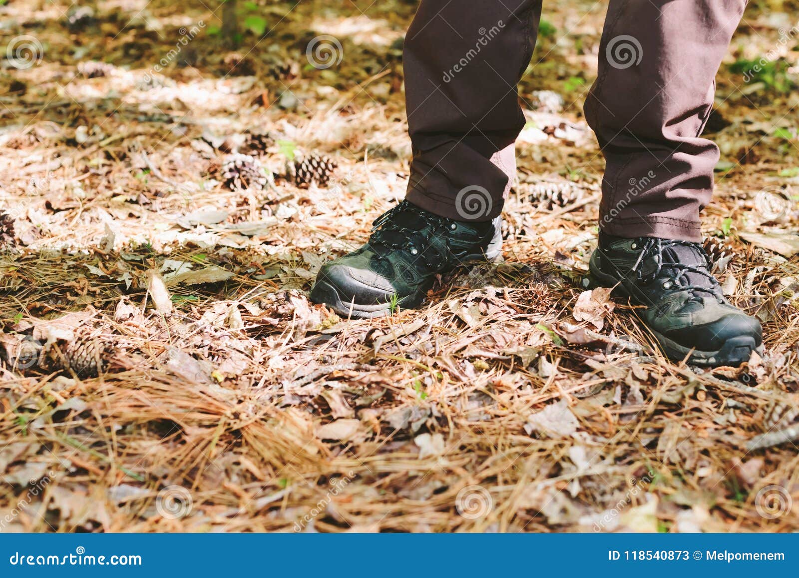 Hiker in Hiking Boots in the Forest Stock Image - Image of shoe, male ...