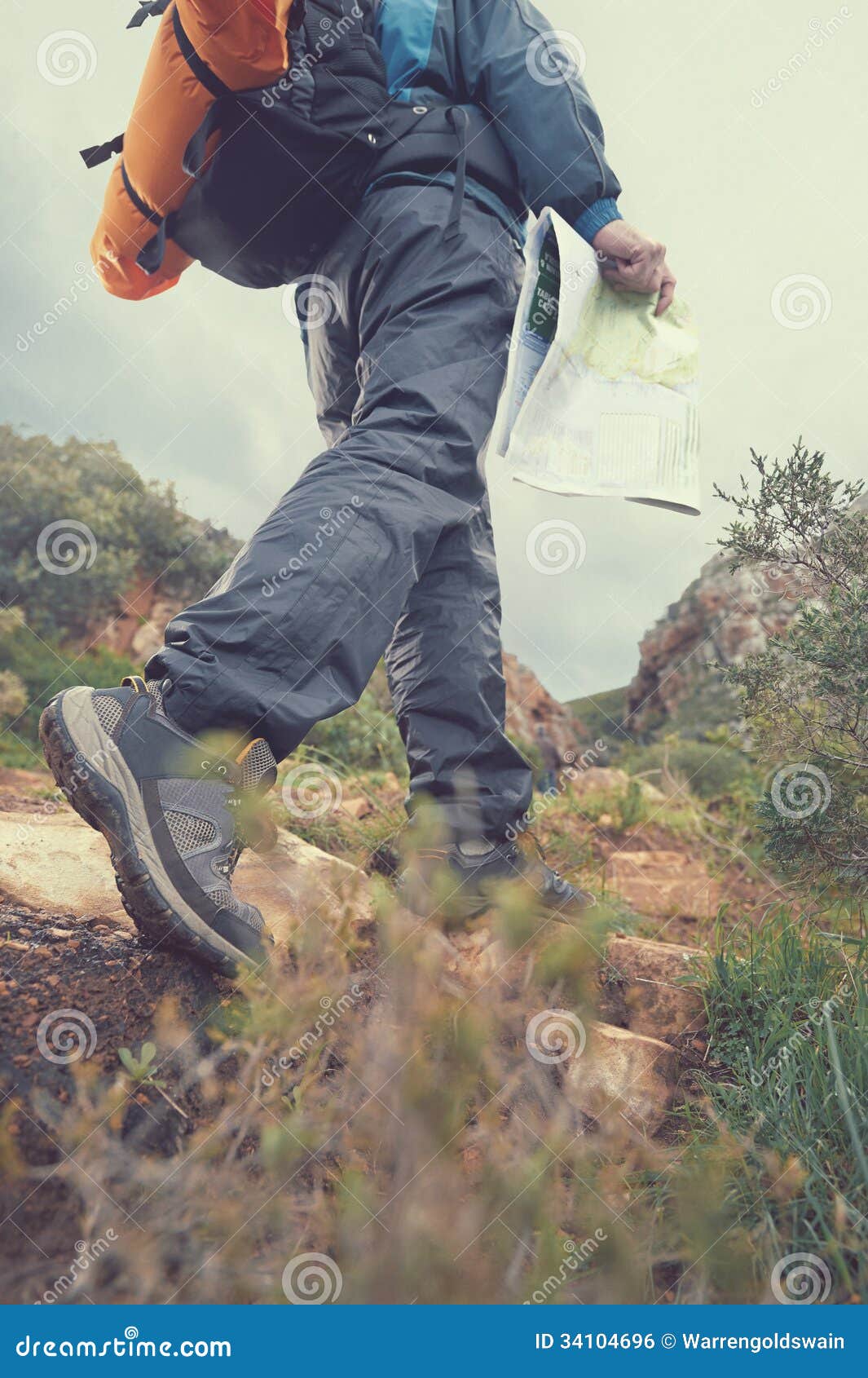 Hiker with map stock photo. Image of beard, navigating - 34104696
