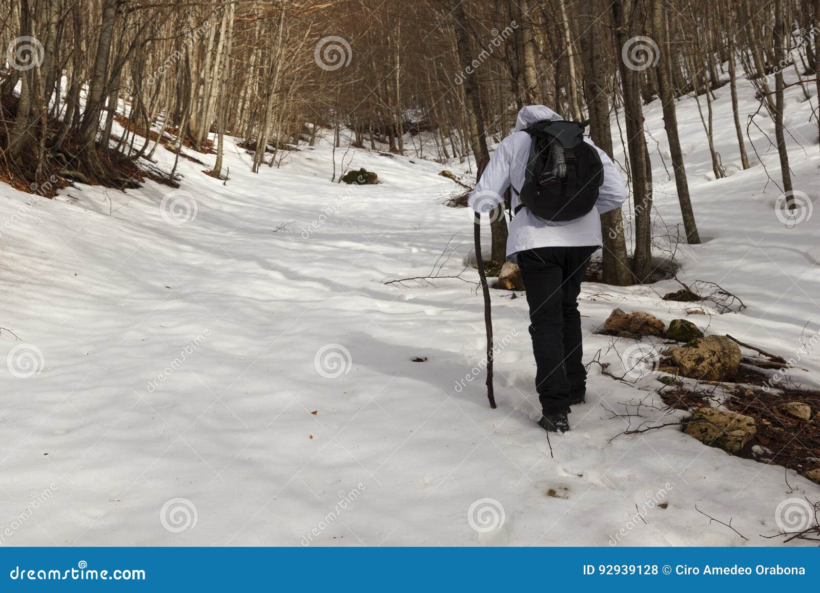 Hiker on mountain stock photo. Image of mountain, trek - 92939128