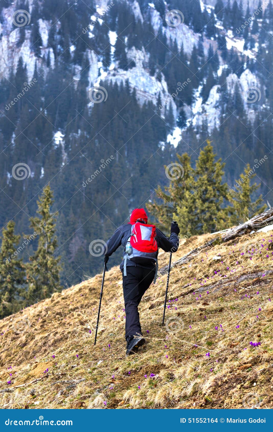 Hiker in the mountains stock photo. Image of romanian - 51552164