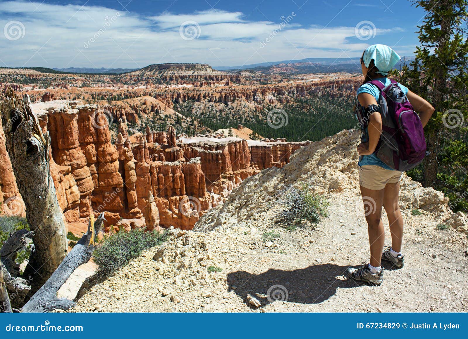 Hiker Overlooking Bryce Canyon, Utah Stock Image - Image of mountains ...