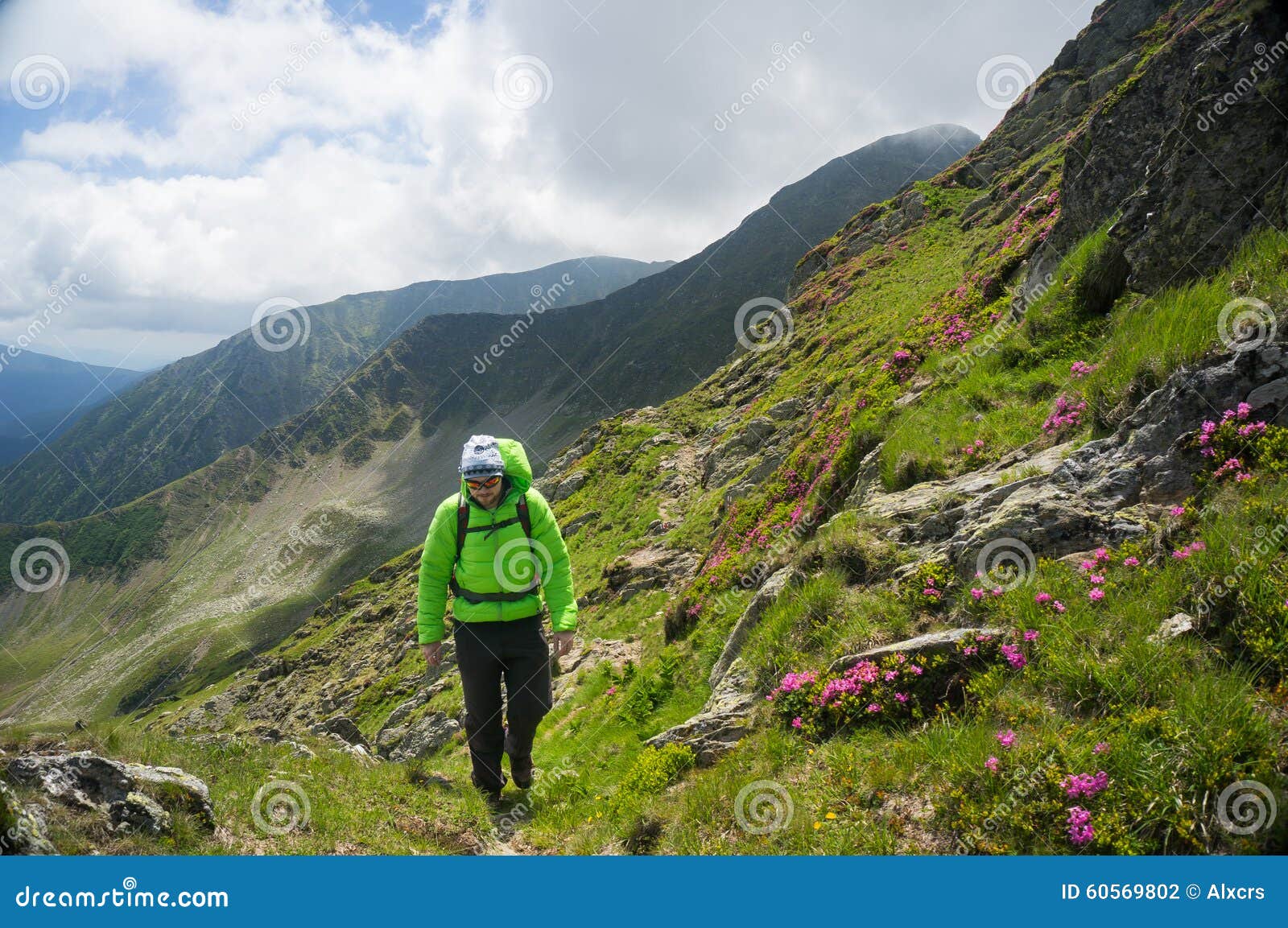 Hiker on a Path in the Mountains Stock Photo - Image of sport, alpine ...