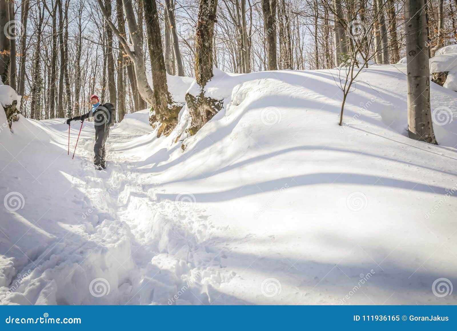 Hiker Walking on a Snowy Mountain Stock Image - Image of nordic, hike ...
