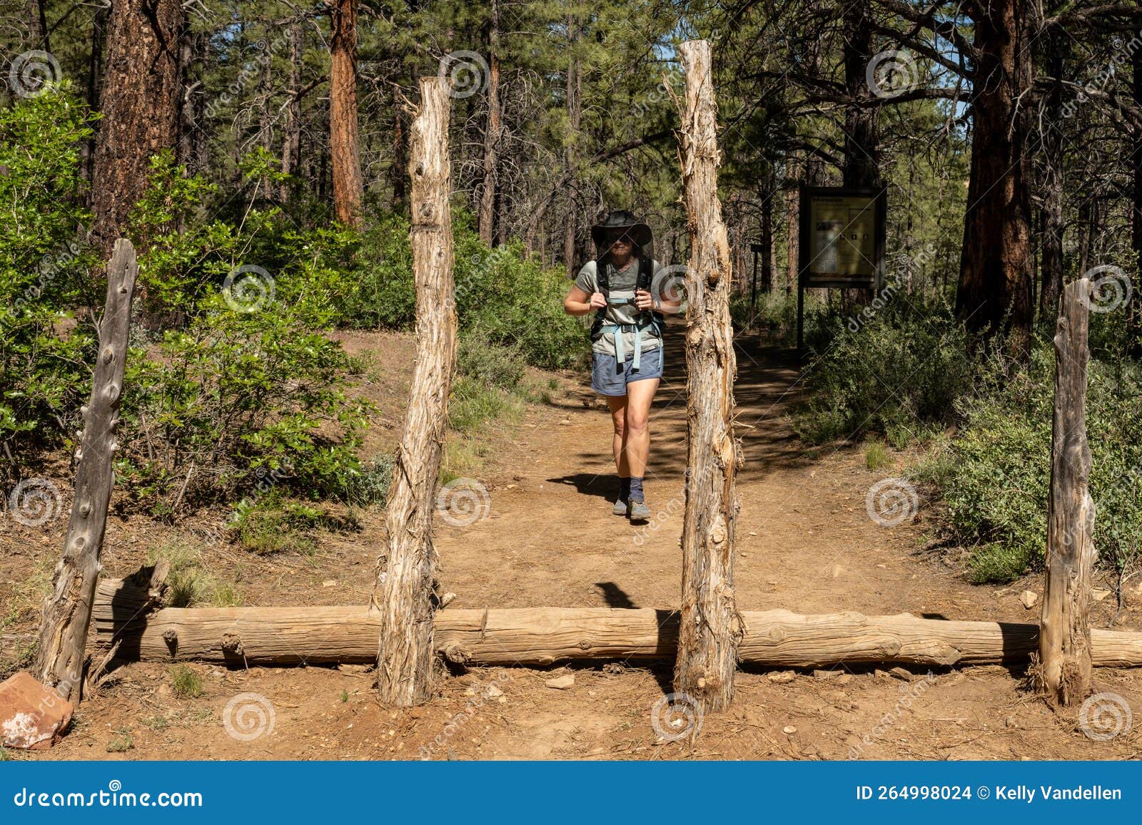 Hiker Returning To the Trail Head in Zion Stock Photo - Image of ...