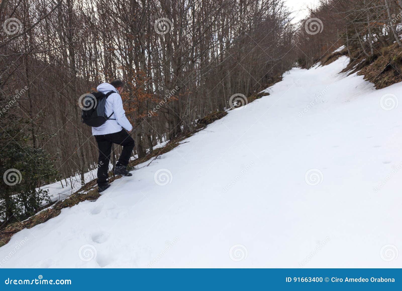 Hiker on snow stock photo. Image of trekking, hike, mountaineering ...