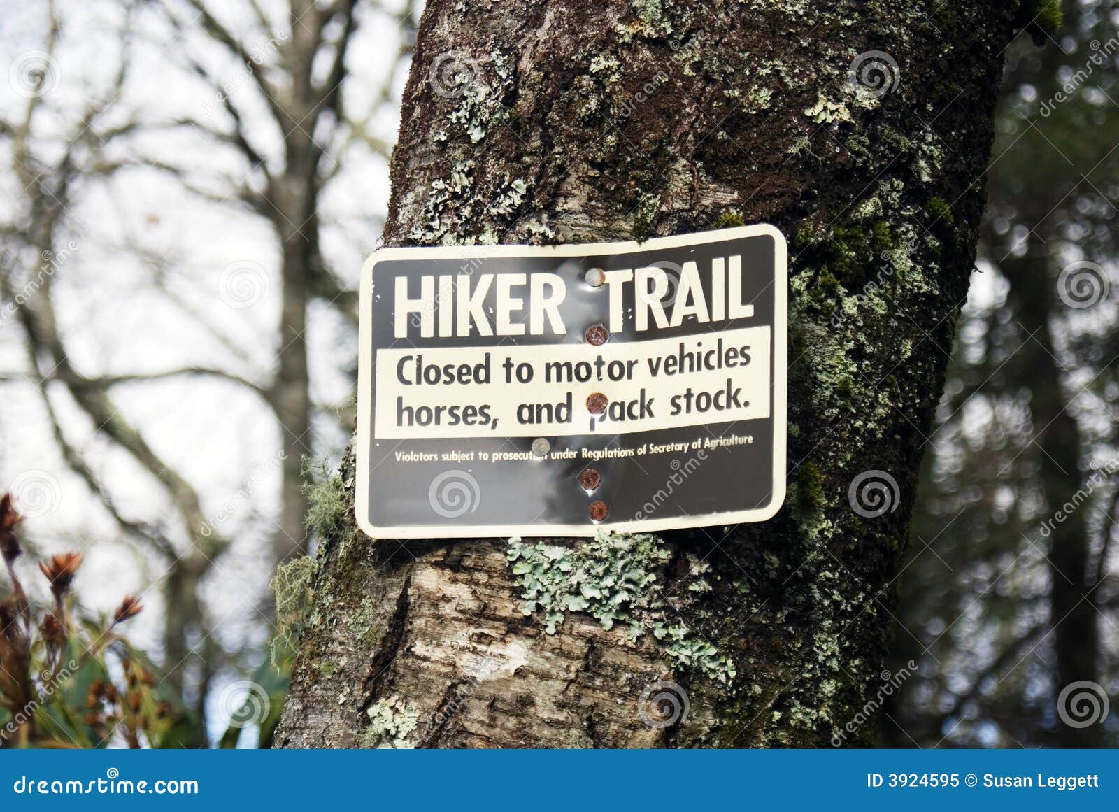 Hiker trail sign stock image. Image of forest, travel - 3924595