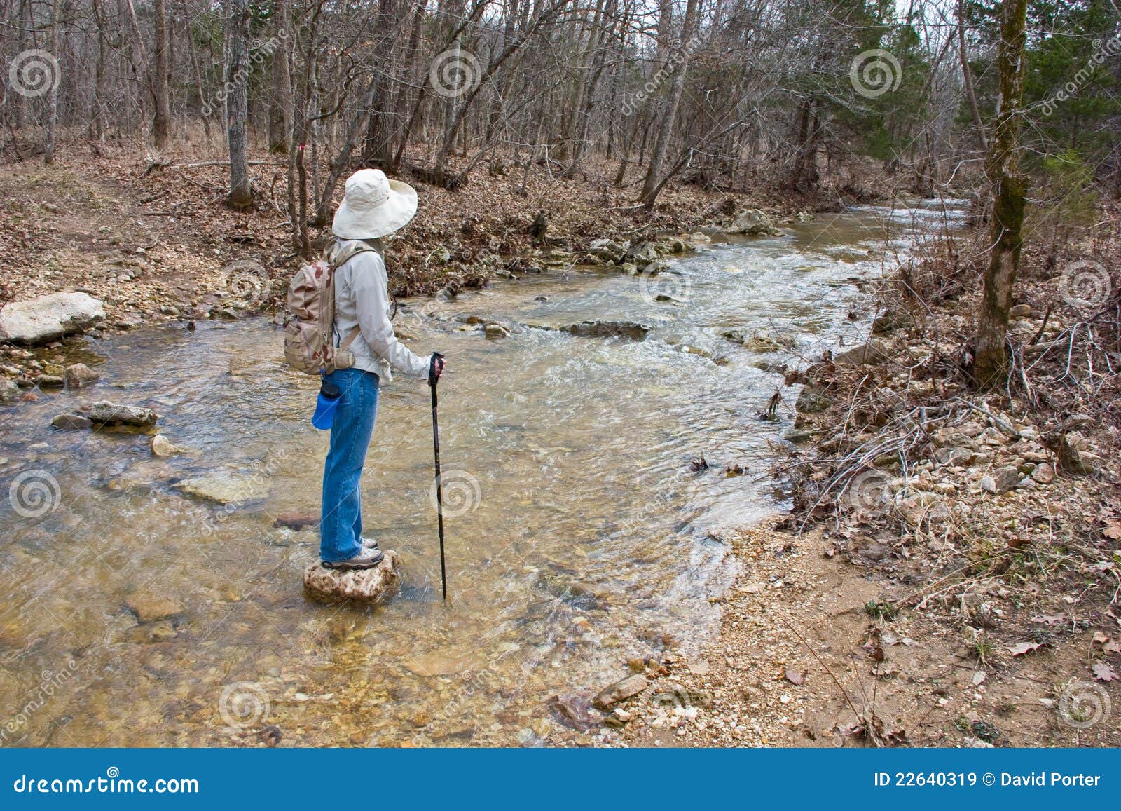 Hiker Walking Across a Stream. Stock Image - Image of running, forest ...