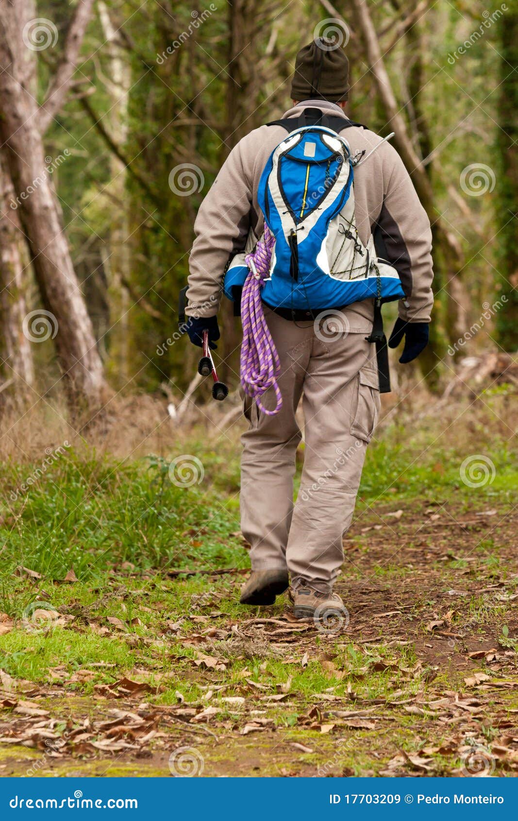 Hiker walking a trail stock image. Image of nature, adventure - 17703209