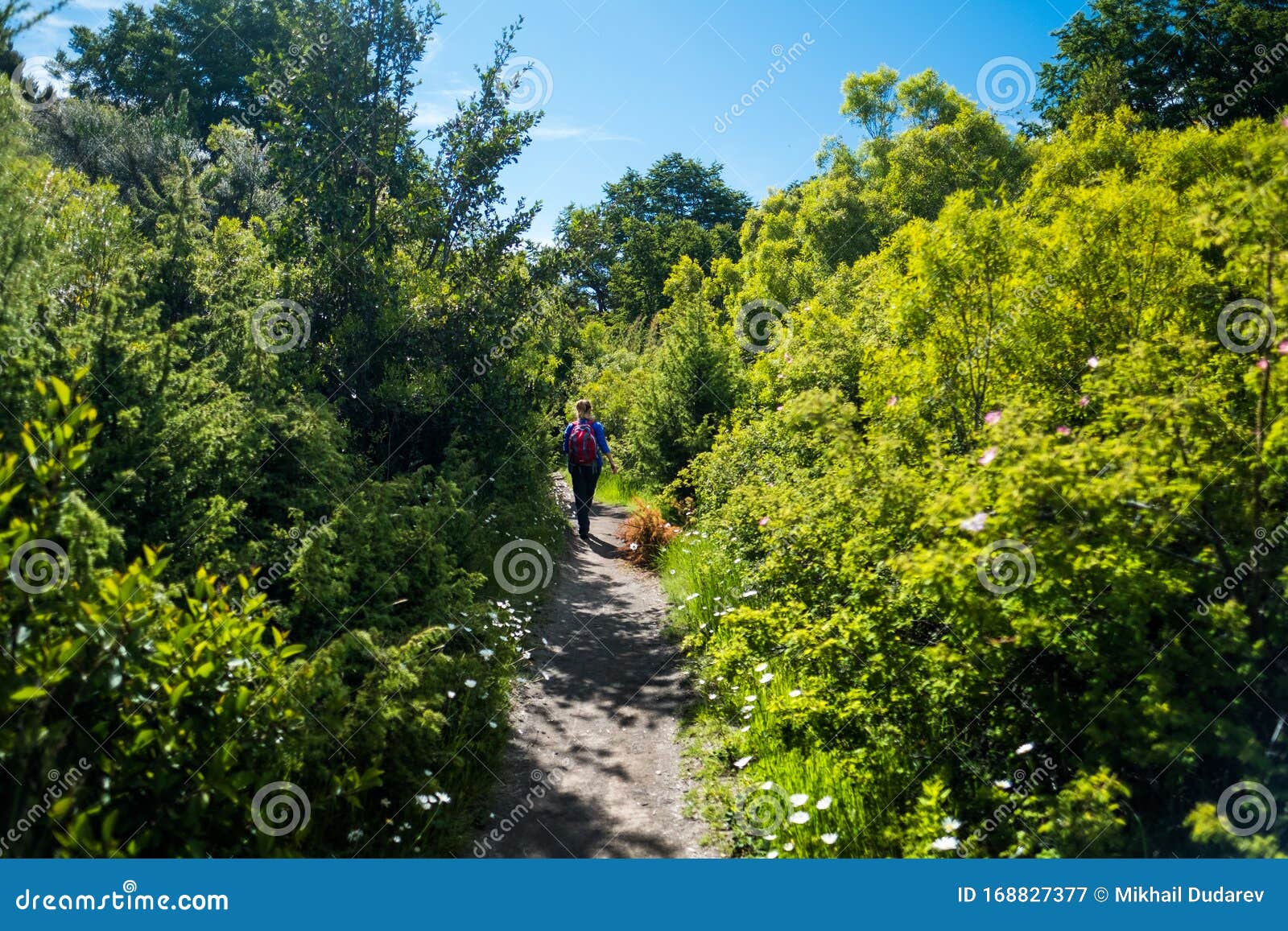 Hiker walks along the path stock image. Image of hiker - 168827377