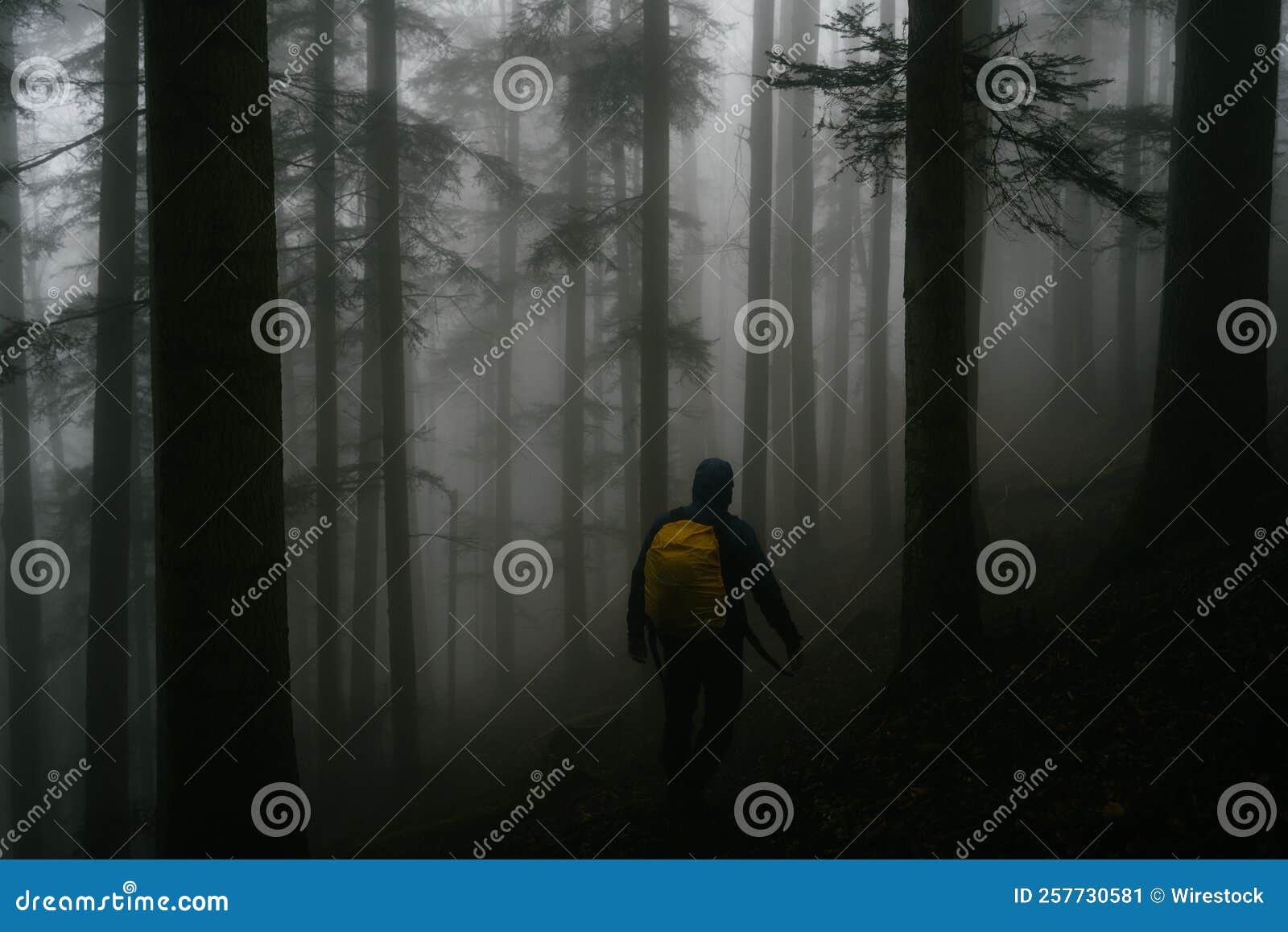 Hiker Wandering in a Dark Mysterious Forest - Great for a Wallpaper ...