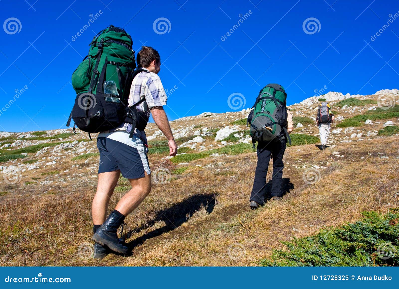 Hikers stock image. Image of hill, nature, pose, leisure - 12728323