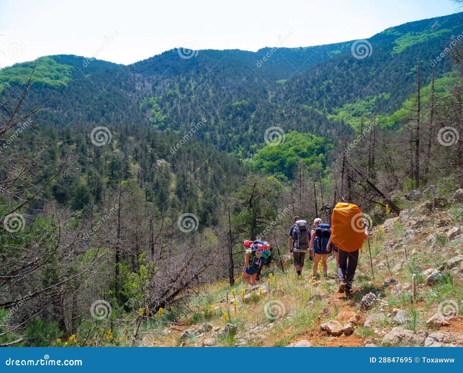 Hikers stock image. Image of european, group, green, people - 28847695