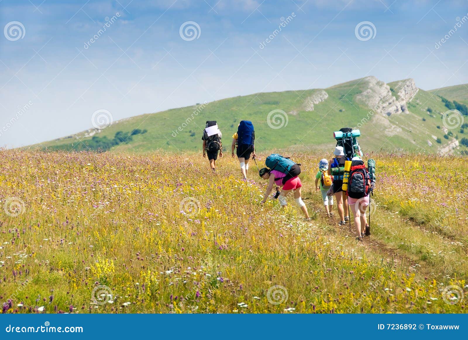 Hikers stock photo. Image of hiking, nature, hikers, group - 7236892