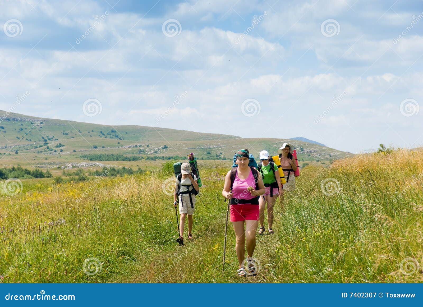 Hikers stock image. Image of european, adult, hiking, group - 7402307