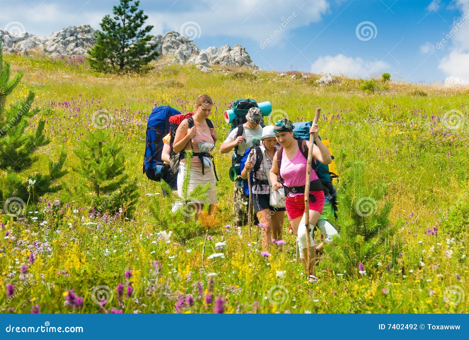 Hikers stock photo. Image of healthy, mountains, hikers - 7402492